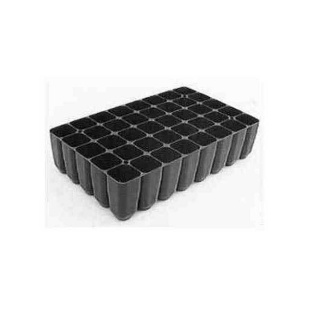 Las semillas: ¿dónde, cuándo y cómo preparar los semilleros ...