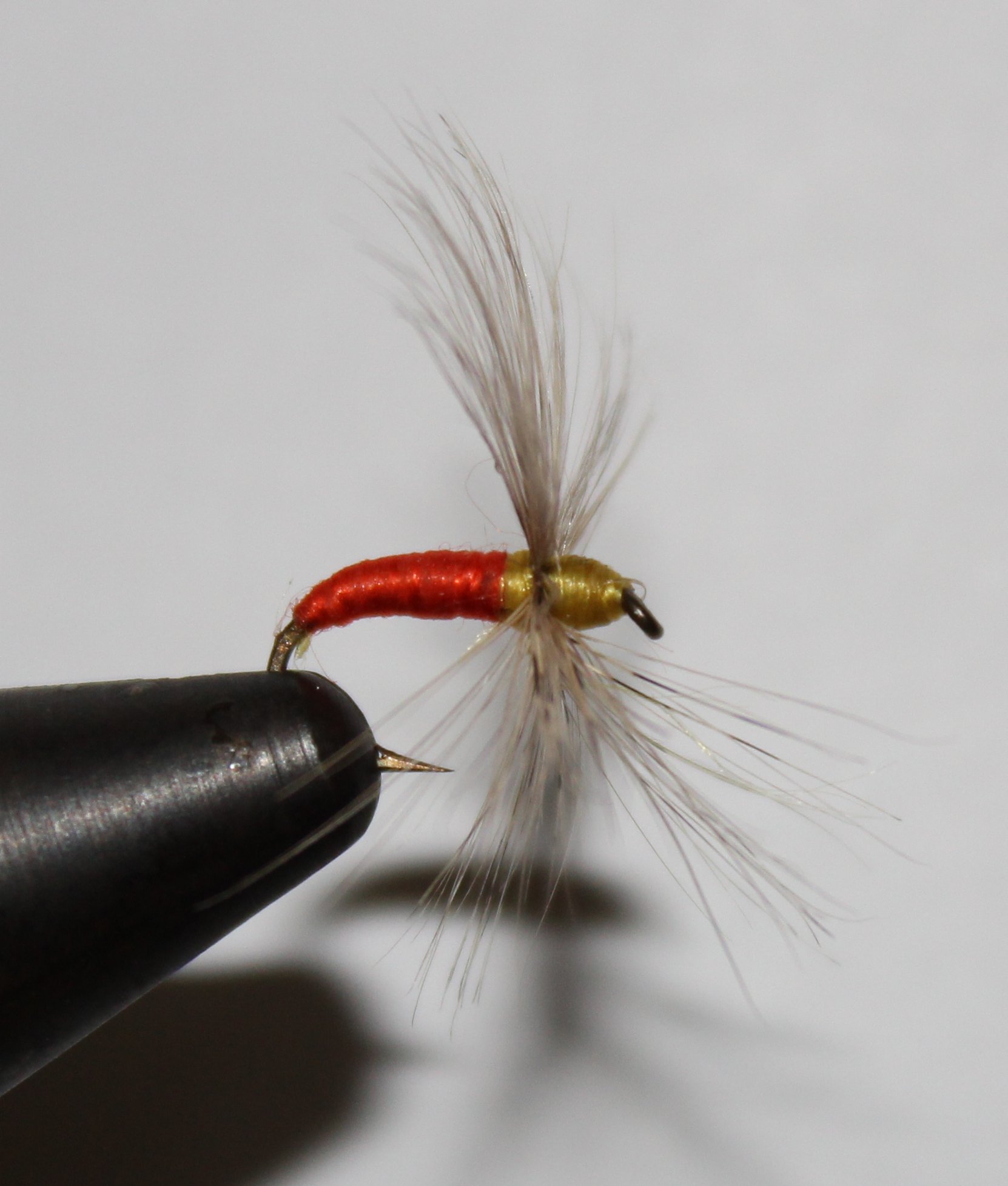 MOSCA AHOGADA LEON 4 ANZ.Nº12 [FLY0000000015] - 1,69€ : Tienda online ...